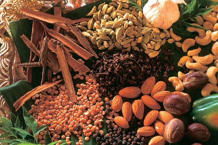 Zanzibar Spice Farm Tour near Stone Town | Cedarberg Africa