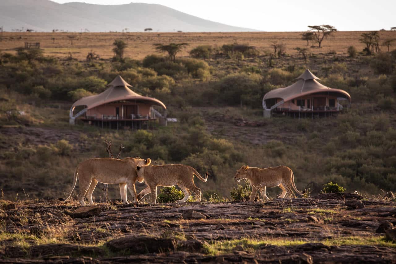 Mahali Mzuri | Masai Mara, Kenya | Cedarberg Travel